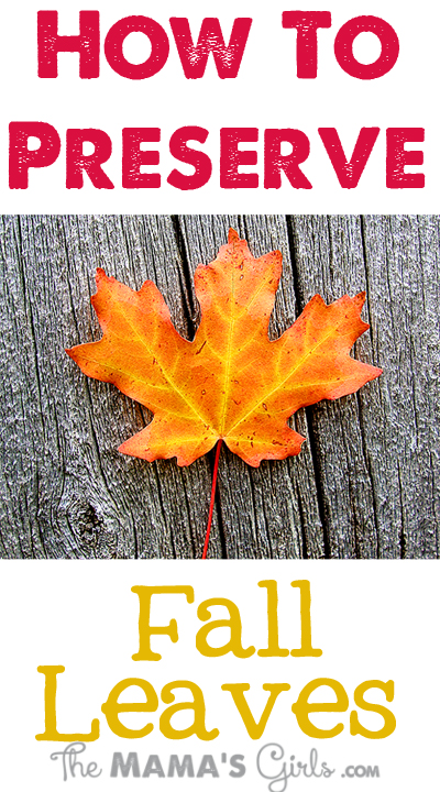 Preserve Your Favorite Fall Leaves